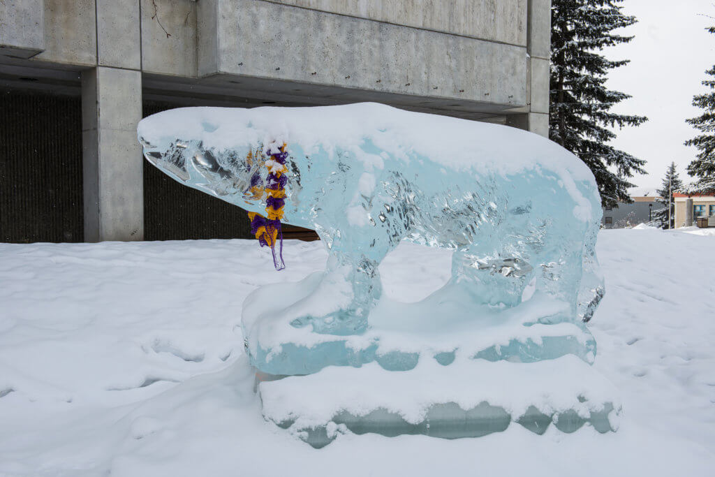 10 Coldest College Campuses in America - Campus Arrival